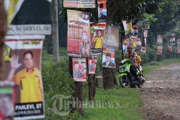 Poster Cagub dan Caleg Hiasi Pohon, Foto 1 #528561 - TribunNews.com