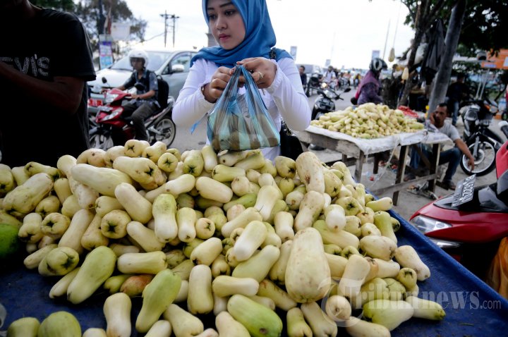 Pedagang Jambu Botol, Foto 2 #569532 - TribunNews.com