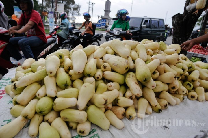 Pedagang Jambu Botol, Foto 4 #569552 - TribunNews.com