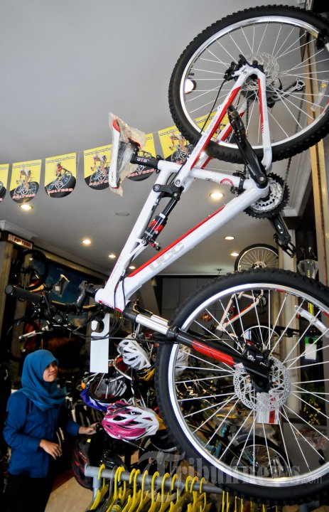 Sepeda Downhill, Foto 1 #574692 - TribunNews.com