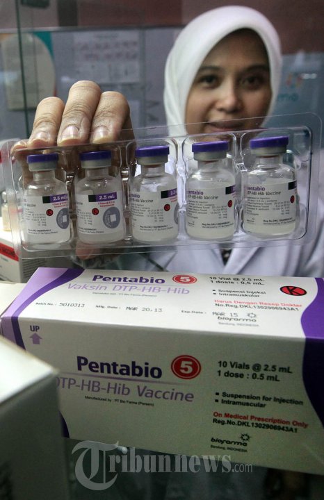 Vaksin Pentabio, Foto 2 #644772 - TribunNews.com