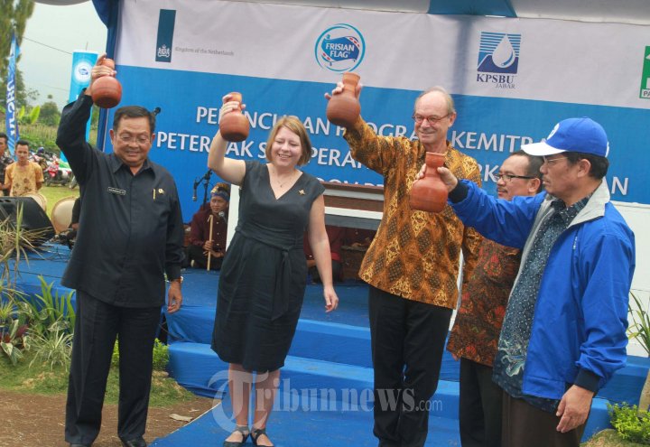 Marco Spits di Acara Program Kemitraan Peternak Sapi Perah, Foto 3 #668491 - TribunNews.com