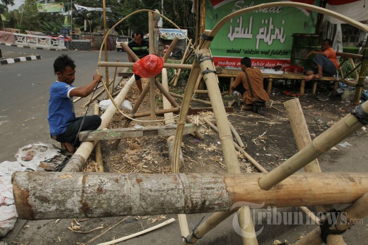 Penjualan Batang Pohon Pinang, Foto 4 #727882 - TribunNews.com