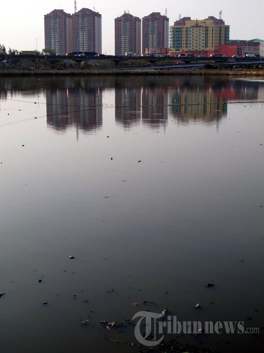 Waduk Ria Rio, Foto 2 #843851 - TribunNews.com