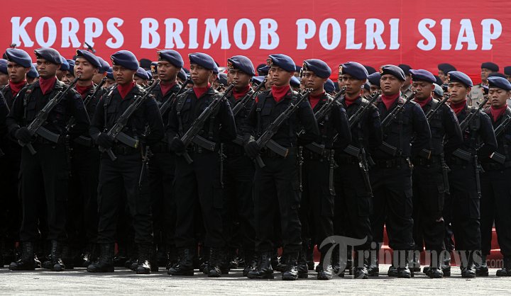 Korps Brimob Polri , Foto 2 #885751 - TribunNews.com