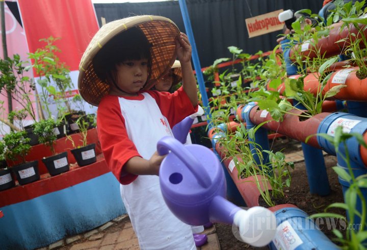 PAUD Percontohan di Jakarta, Foto 11 #1058712 - TribunNews.com