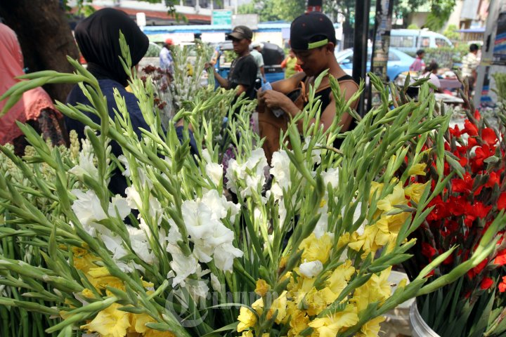 Penjual Bunga Lebaran di Pasar Pagi Rawamangun, Foto 3 #1259012 ...