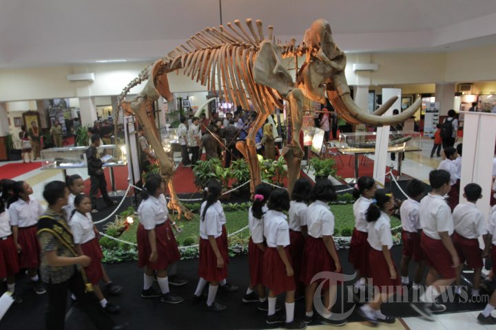 Siswa SD Kunjungi Pameran di Museum Ronggowarsito, Foto 2 #1392282 ...