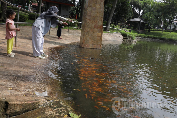 Taman 24 Jam Untuk Warga Jakarta, Foto 8 #2017655 - TribunNews.com
