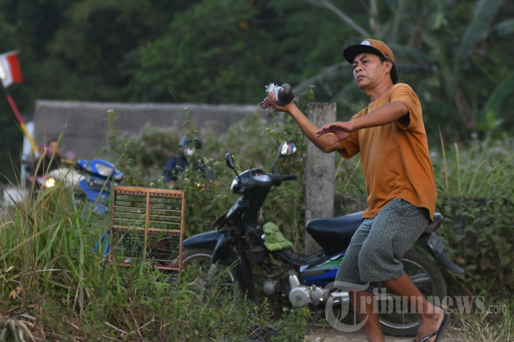 Adu Kecepatan Merpati di Malang, Foto 6 #1969730 - TribunNews.com