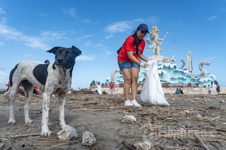 Aksi Bersih-bersih Sampah di Pantai Kuta Bali, Foto 3 #1957918 - TribunNews.com