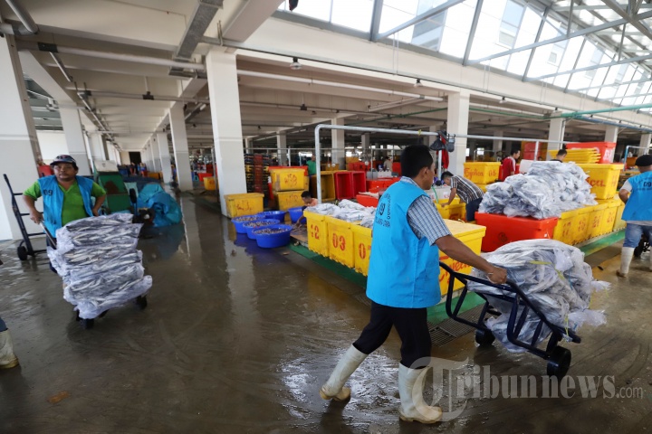 Aktifitas Pasar Ikan Modern Muara Baru, Foto 4 #1788862 - TribunNews.com