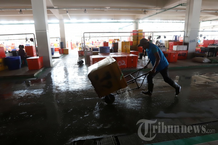 Aktifitas Pasar Ikan Modern Muara Baru, Foto 7 #1788865 - TribunNews.com