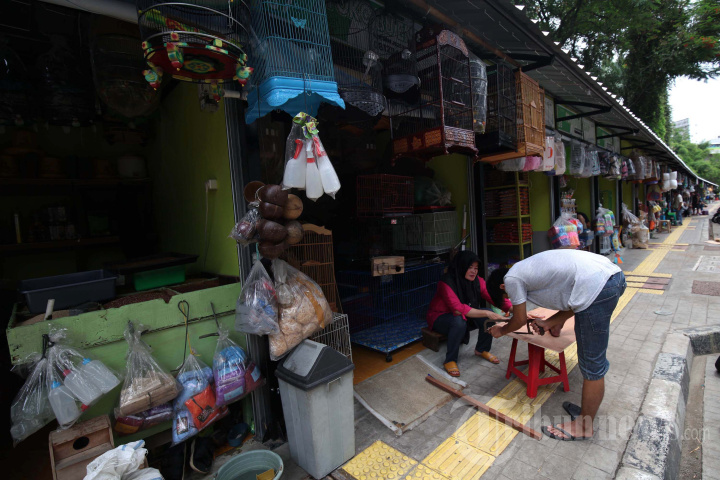 Aktivitas di Pasar Hewan Barito Pasca Revitalisasi, Foto 6 #1942766 - TribunNews.com