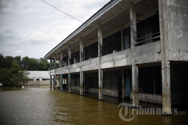 Banjir Rob Muara Baru, Foto 2 #1862820 - TribunNews.com