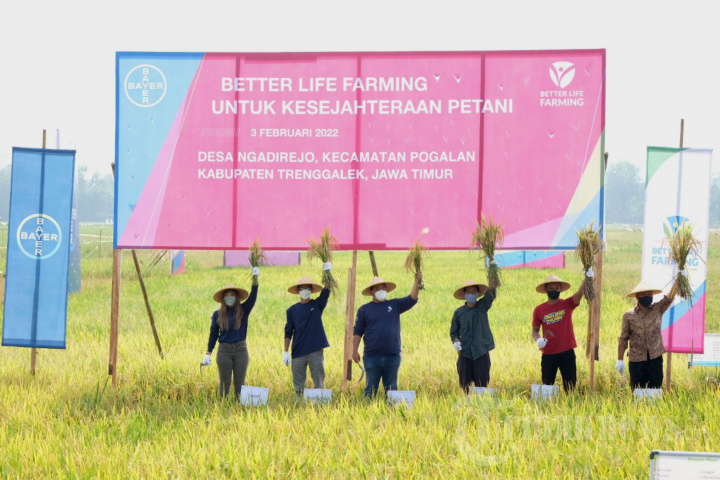 Bayer Program Better Life Farming, Foto 1 #1912367 - TribunNews.com