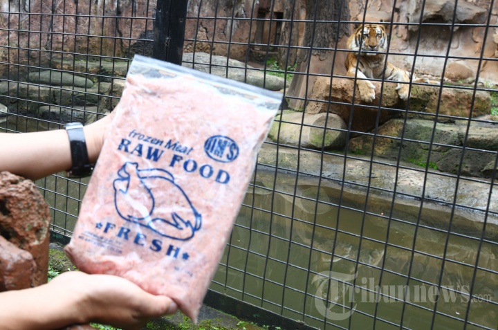 Bazoga Galang Donasi Pakan untuk Kelangsungan Hidup Satwa, Foto 8 ...