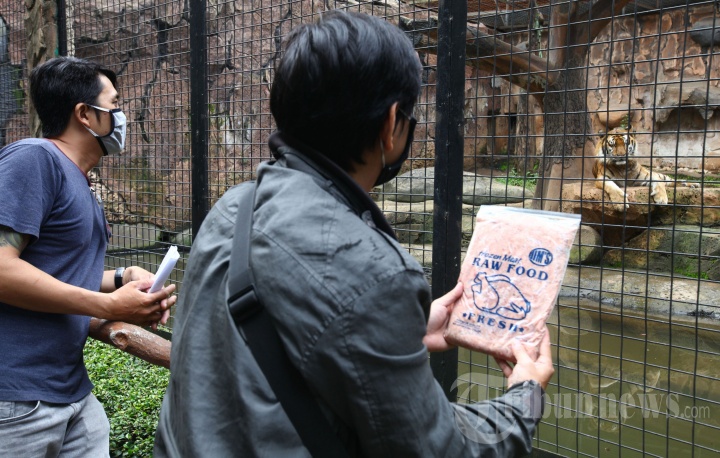 Bazoga Galang Donasi Pakan untuk Kelangsungan Hidup Satwa, Foto 9 ...