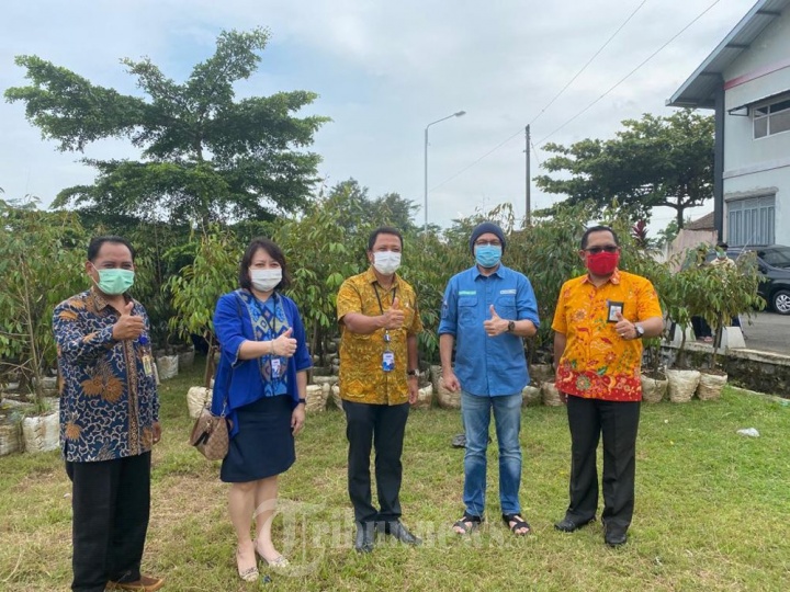 BCA Kolaborasi Dengan Benihbaik.com Donasi Bibit Durian Bawor, Foto 2 ...