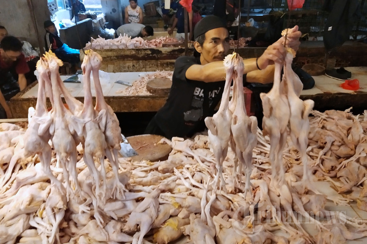 Belanja Kebutuhan Lebaran di Pasar Tradisional Kota Bandung, Foto 5 #1964169 - TribunNews.com