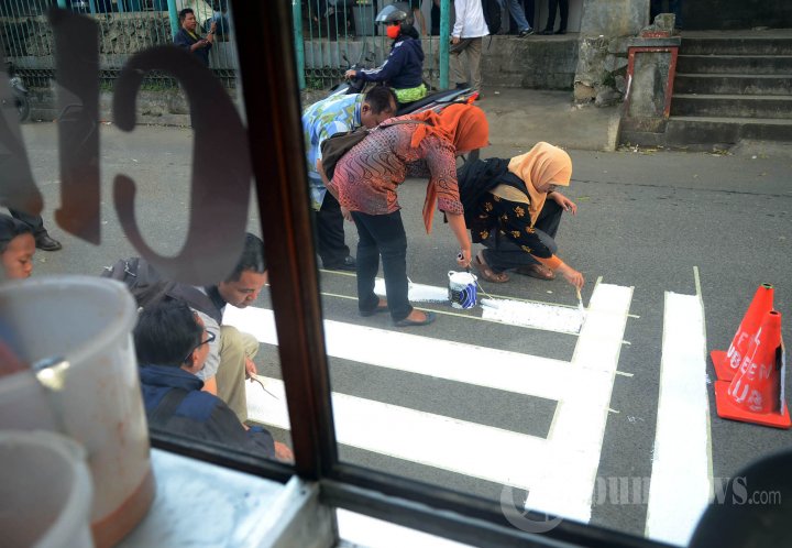 Cat Zebra Cross, Foto 3 #1572602 - TribunNews.com