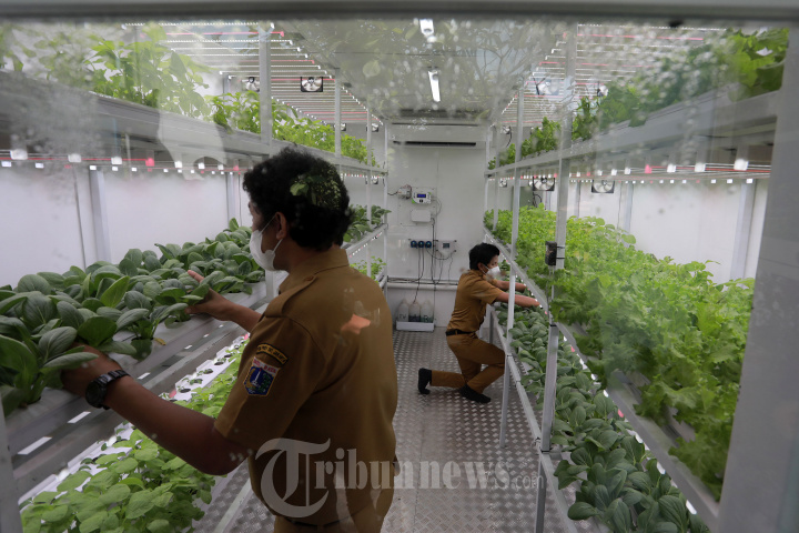 Container Farming Bercocok Tanam Tanpa Tanah, Foto 8 #1897025 ...