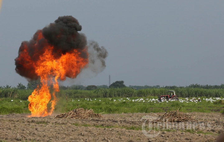 Densus 88 Musnahkan Dua Rangkaian Bom Rakitan Milik Teroris, Foto 4 ...