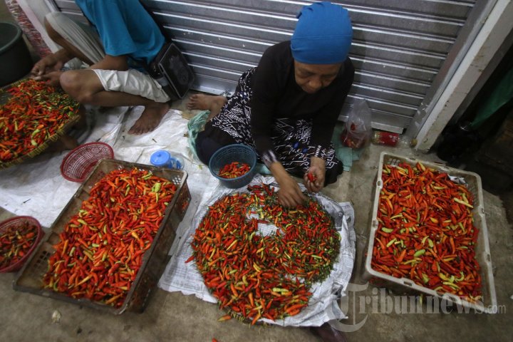 Harga Cabai Melambung, Foto 1 #1672190 - TribunNews.com