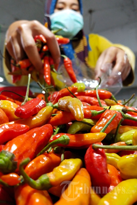Harga Cabai Rawit Domba di Pasar Kosambi Bandung Tembus Rp 120.000 per ...