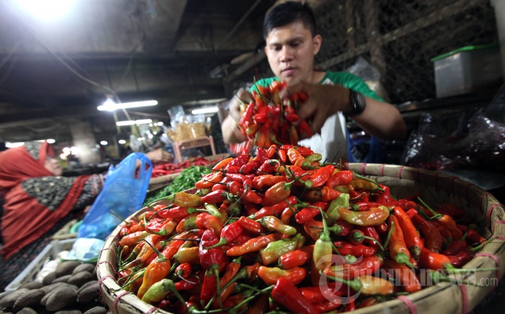 Harga Cabai Rawit Domba Masih Tinggi, Foto 1 #1757857 - TribunNews.com