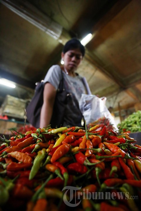 Harga Cabai Rawit Merah Meroket, Foto 5 #1450791 - TribunNews.com