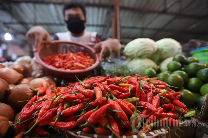 Harga Cabai Tembus Rp70 Ribu per Kilogram, Foto 5 #1914459 - TribunNews.com