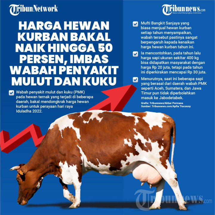 Harga Hewan Kurban Bakal Naik 50 Persen, Foto 1 #1925162 - TribunNews.com