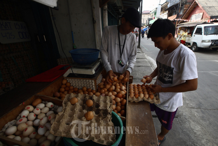 Harga Telur Ayam Tembus Rp. 29.500 di Jakarta, Foto 6 #1935432 ...