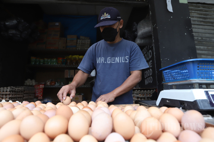 Harga Telur Meroket di Pasaran Jelang Pergantian Tahun, Foto 2 #1907567 - TribunNews.com