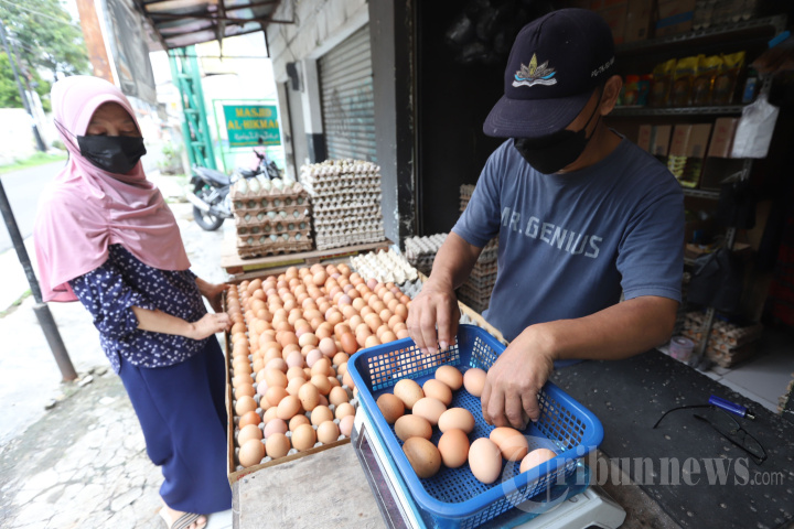Harga Telur Meroket di Pasaran Jelang Pergantian Tahun, Foto 4 #1907569 - TribunNews.com
