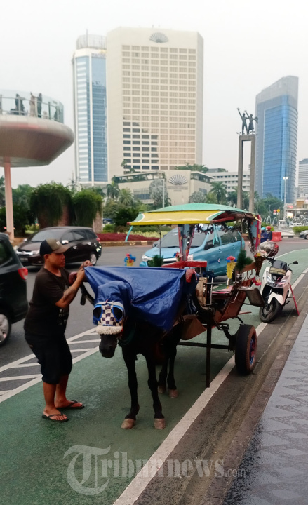 Hujan, Kusir Delman Menutupi Kudanya Dengan Terpal, Foto 5 #1951813 ...