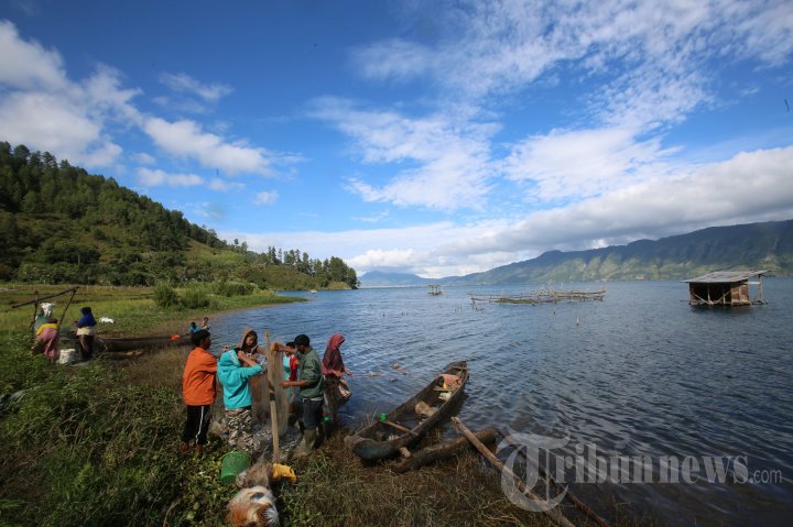 Ikan Depik Khas Aceh, Foto 4 #1631538 - TribunNews.com