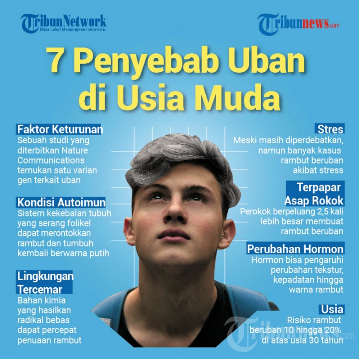 Infografis 7 Penyebab Uban di Usia Muda, Foto 1 #1856064 - TribunNews.com