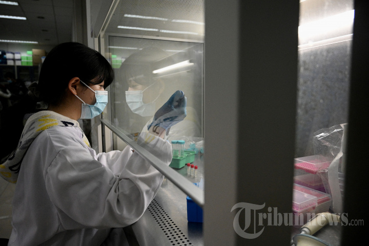 Intip Laboratorium China Penemu Obat Covid-19, Foto 7 #1905167 ...