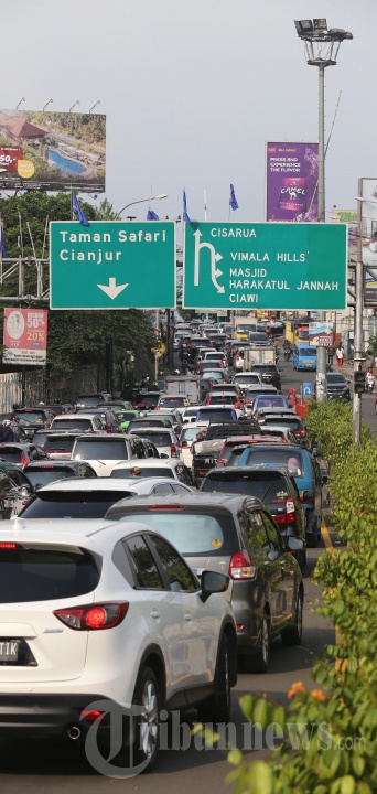 Jalan Menuju Puncak Macet, Foto 1 #1854869 - TribunNews.com