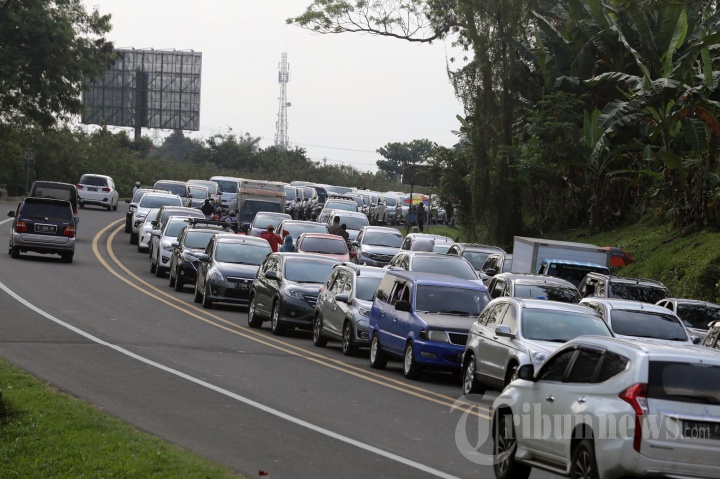 Jalan Menuju Puncak Macet, Foto 2 #1854870 - TribunNews.com