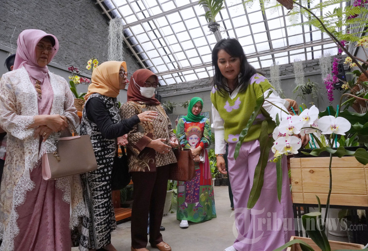 Kafe Flona Berkonsep Kebun Tanaman Hias Indonesia, Foto 4 #1943993 ...