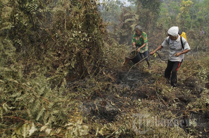Kebakaran Hutan dan Lahan di Riau, Foto 3 #1643177 - TribunNews.com