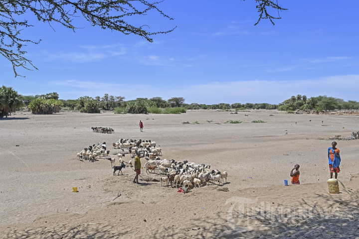 Kekeringan Perparah Kelaparan di Kenya, Foto 10 #1940246 - TribunNews.com Kekeringan Perparah Kelaparan di Kenya, Foto 10 #1940246 - TribunNews.com