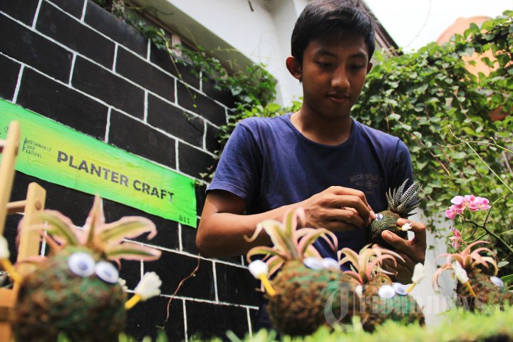 Kerajinan Boneka Tanaman Hias, Foto 1 #1633389 - TribunNews.com