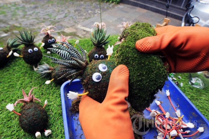 Kerajinan Boneka Tanaman Hias, Foto 3 #1633392 - TribunNews.com