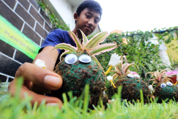 Kerajinan Boneka Tanaman Hias, Foto 4 #1633394 - TribunNews.com