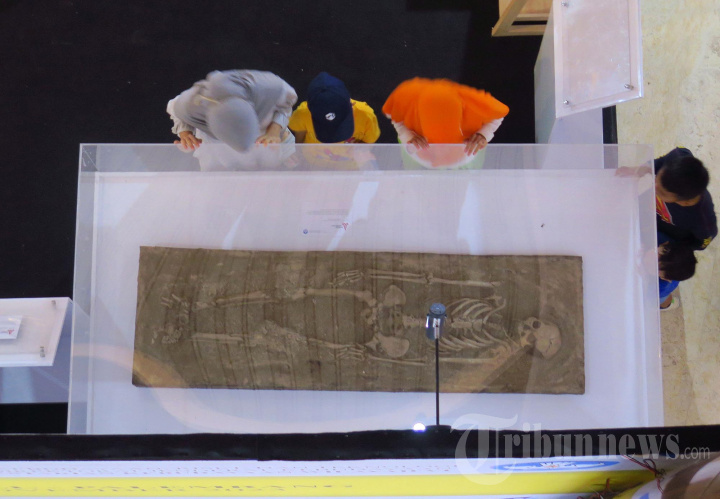 Kerangka Manusia Ras Mongoloid, Foto 3 #1984644 - TribunNews.com