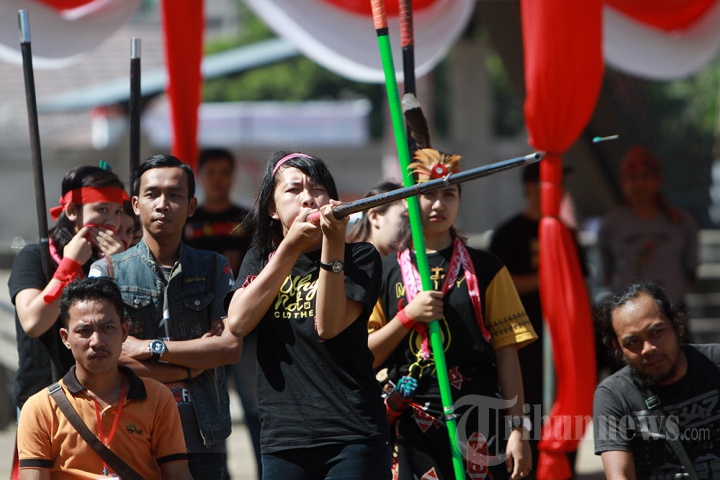 Lomba Sumpit di Pekan Gawai Dayak, Foto 6 #1702655 - TribunNews.com